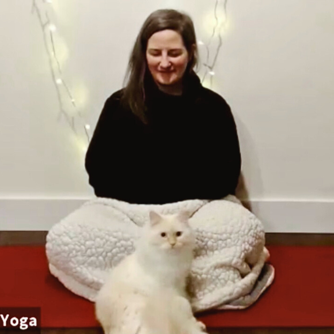 6 Lessons of Cat Wisdom - Funky Buddha Yoga House | Cat Wisdom in ...